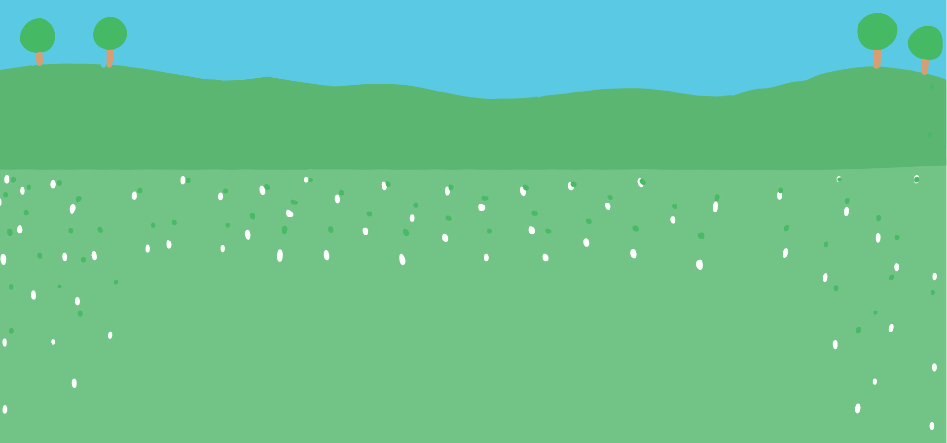 grass | Pops Outdoor Adventure Centre - Rawmarsh 01709 527023 ...