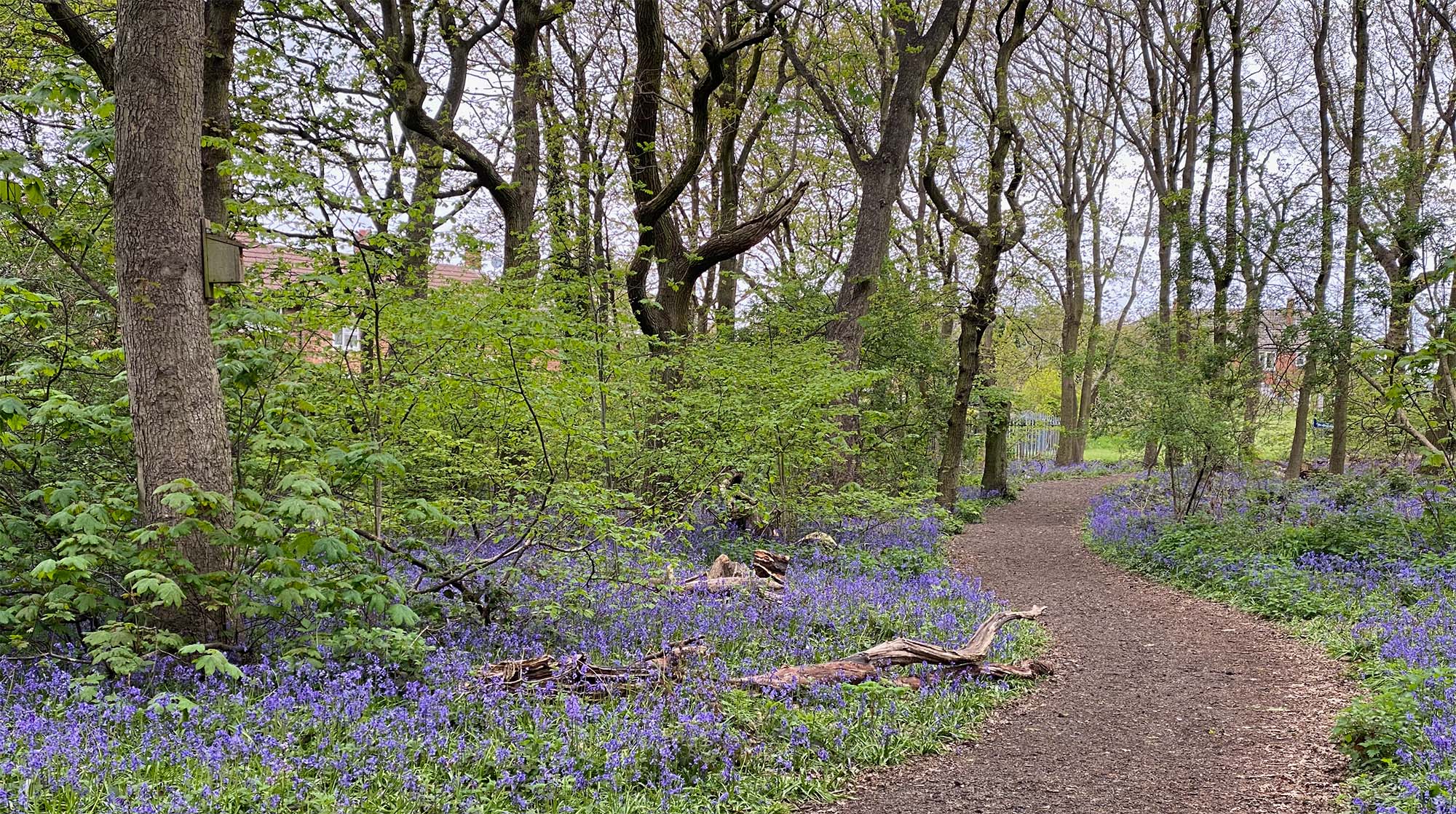 woodland | Pops Outdoor Adventure Centre - Rawmarsh 01709 527023 ...